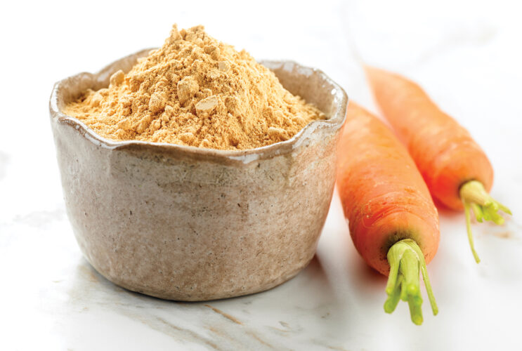 How to Make Vegetable Powder – Mother Earth News